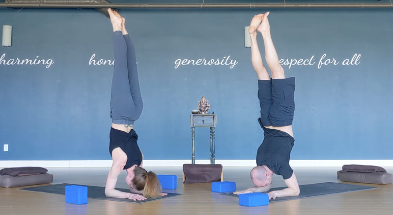 Power Flow Yoga • Forearm Balance – Kushala Yoga and Wellness in Port Moody