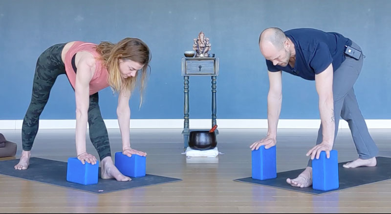 Movement Flow for Healthy Hips and Back – Kushala Yoga and Wellness in ...