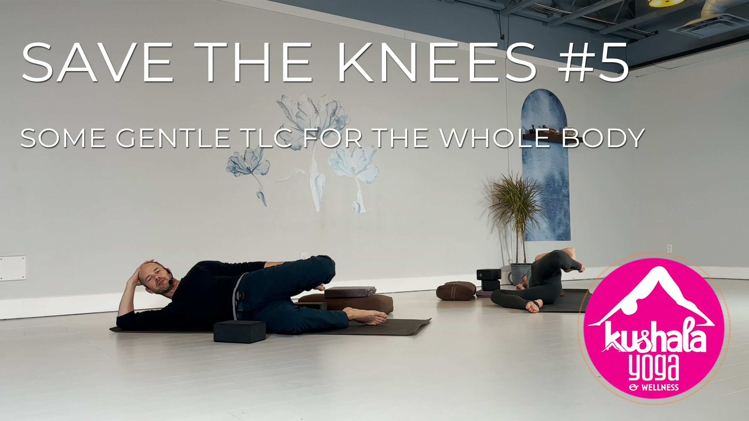 Save Your Knees • Part 5 • Some Gentle TLC for the Whole Body – Kushala ...